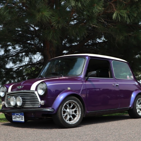 Amranth Purple Sport Pack Mini