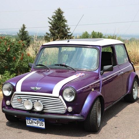 Amranth Purple Sport Pack Mini