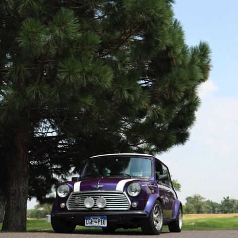Amranth Purple Sport Pack Mini