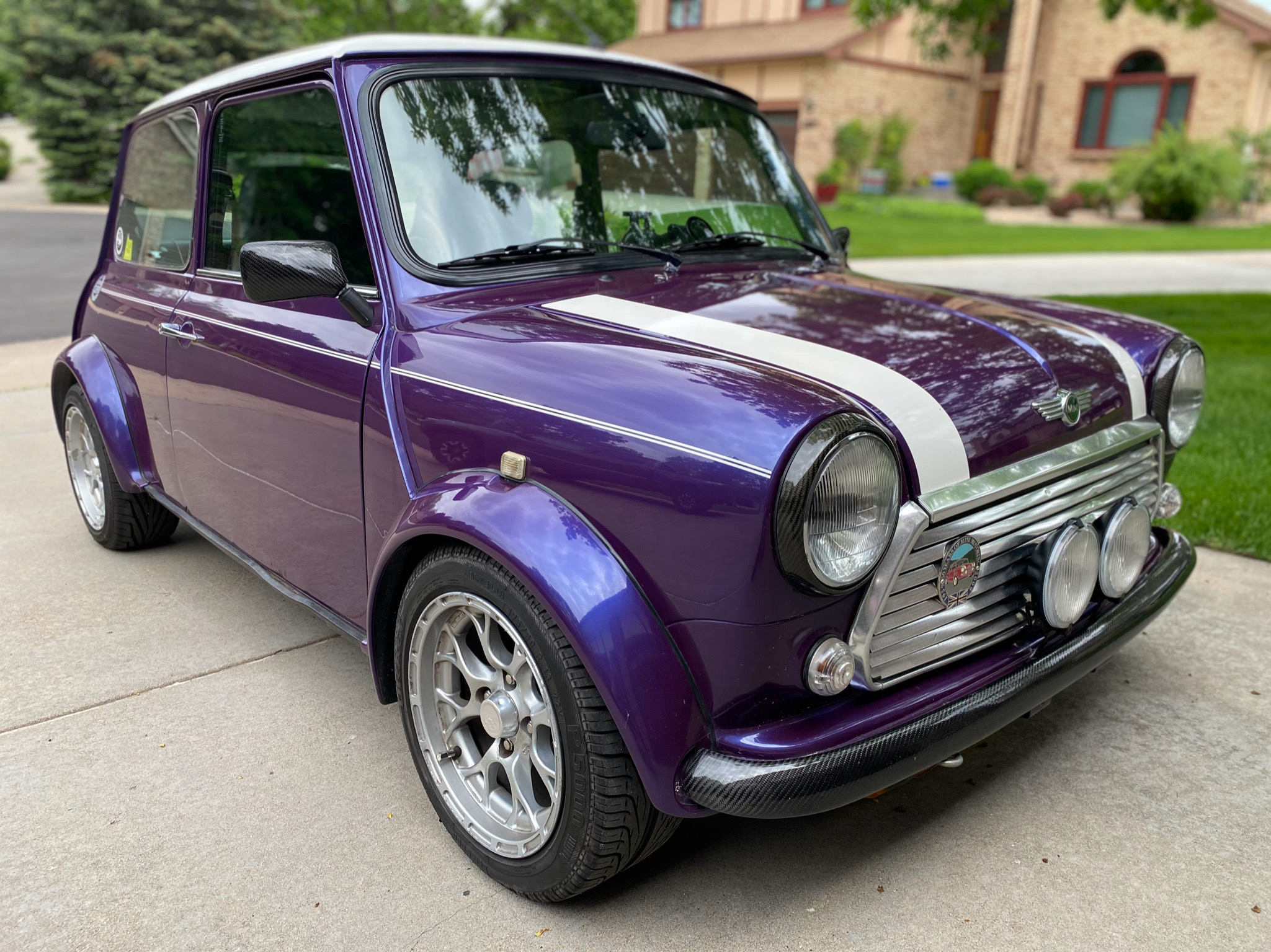 Amranth Purple Sport Pack Mini